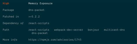 Npm Audit Failure High Severity Due To Dns Packet