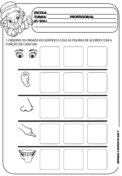 Atividades sobre Órgãos dos Sentidos para Educação Infantil