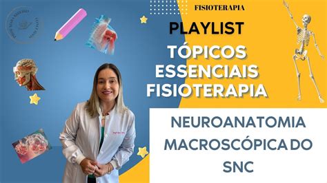 NEUROANATOMIA TUDO SOBRE ANATOMIA MACROSCÓPICA DO SISTEMA NERVOSO