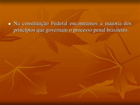 PPT UNIDADE II PRINCÍPIOS DO PROCESSO PENAL PowerPoint Presentation