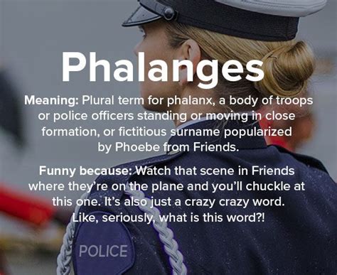 12 Funniest Words In English GO Blog EF United States