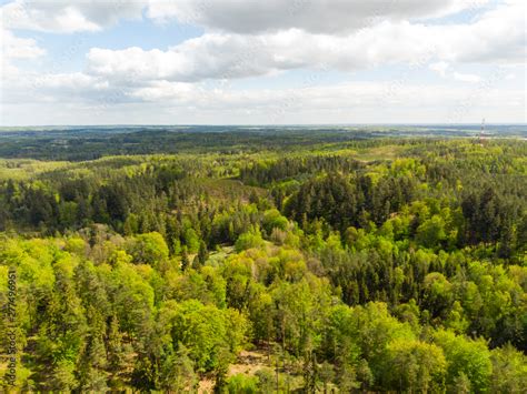 Rezerwat Przyrody Wieżyca kaszubski park krajobrazowy kaszuby widok las