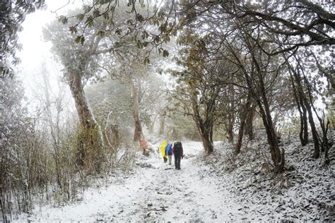 Annapurna Base Camp Trek Via Poon Hill 13 Days GetYourGuide