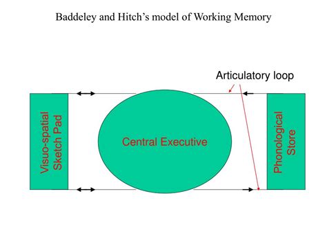 PPT Lecture 1 Short Term And Working Memory Outline PowerPoint