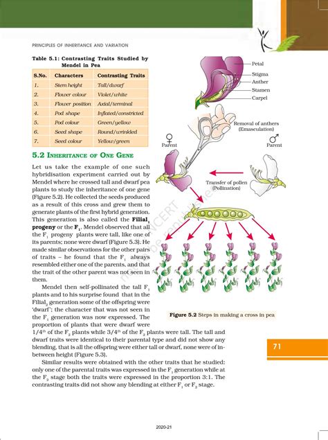 principles of inheritance and variation ncert book of class 12 biology