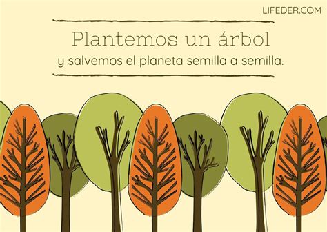 100 Frases Para Cuidar El Medio Ambiente Y La Naturaleza Cortas
