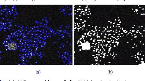 figure 4 from bio cell image segmentation using bayes graph cut model semantic scholar