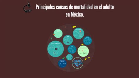 Principales causas de mortalidad en el adulto en México by Naomi Sosa