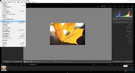 lightroom怎么旋转图片 lr软件旋转照片的方法教程 极光下载站