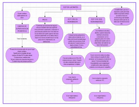 Mapa Conceptual De Como Realizar Un Rcp En Lactantes Primeros The
