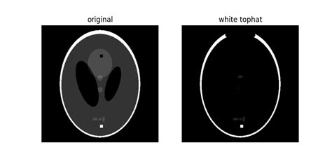 morphological filtering — skimage v0 20 0 docs