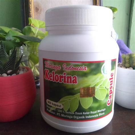 Jual Kapsul Serbuk Daun Kelor Isi 500 Kapsul Daun Moringa Kelor