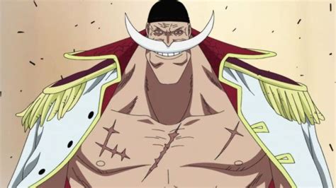 One Piece Pourquoi Barbe Blanche Porte Ce Nom Alors Qu Il N A Pas De