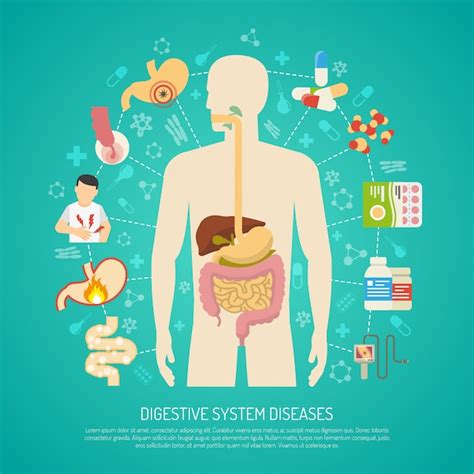 Ilustra O De Doen As Do Sistema Digestivo Vetor Gr Tis
