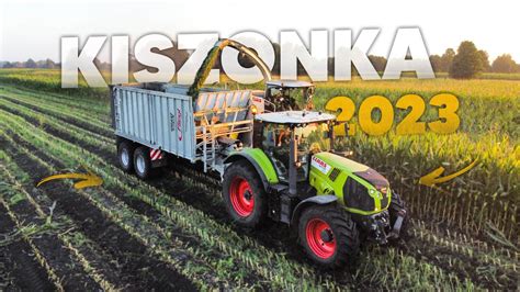 KUKURYDZA NA KISZONKĘ 2023 UR DROZDA CLAAS JAGUAR 950 CLAAS