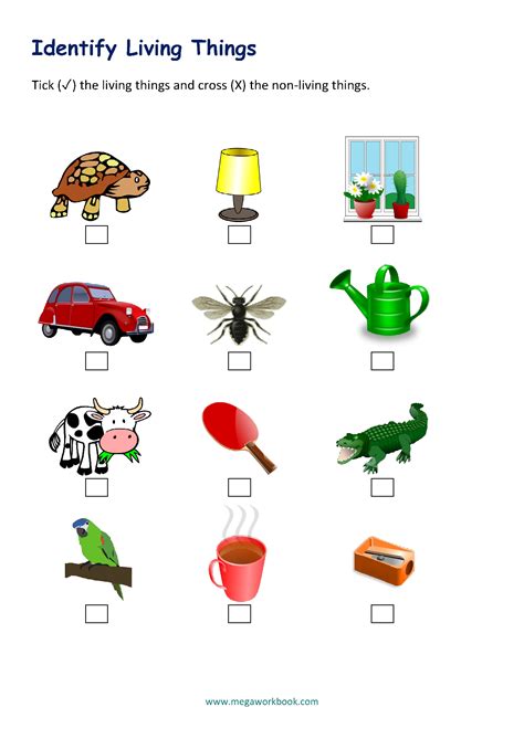 Living And Non Living Things Worksheets Characteristics Of Living