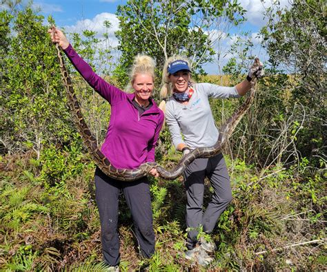 guided python hunts python hunter python huntress amy siewe