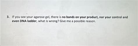 Solved If You See Your Agarose Gel There Is No Bands On Chegg