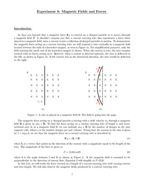 Lab Magnetic Force And Fields F Experiment Magnetic Fields And