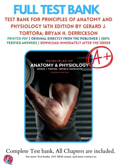 Test Bank For Principles Of Anatomy And Physiology 16th Edition By