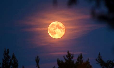 Superluna dello Storione stasera la Luna dà spettacolo sarà più