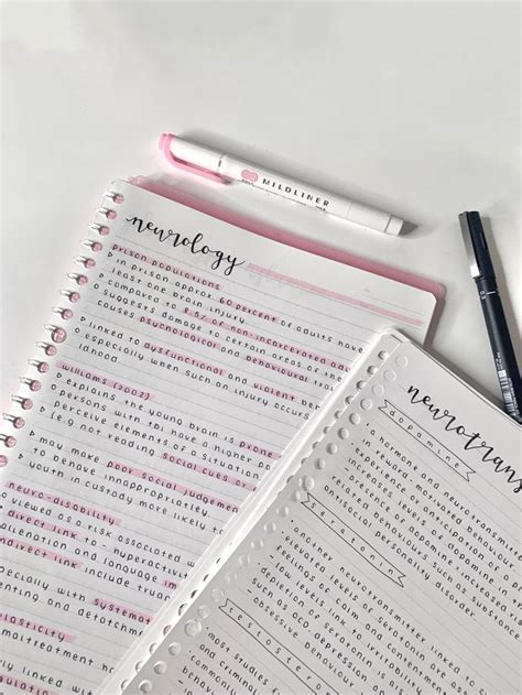 Pink study notes inspo Planejador de estudo Notas organização