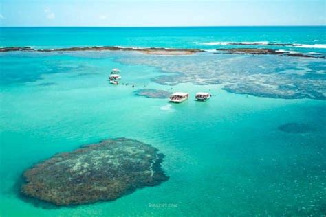 O Que Fazer Em Maragogi Alagoas Top Praias Para Conhecer