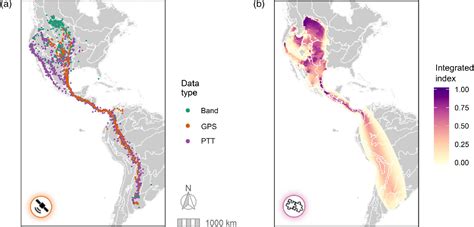figure 1 from integrating data types to estimate spatial patterns of avian migration across the