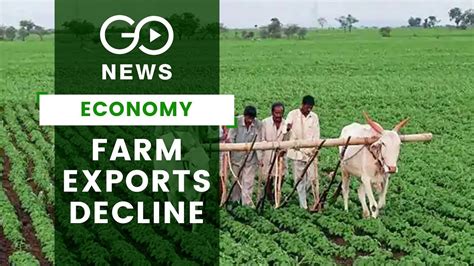 Decline In India S Farm Exports YouTube
