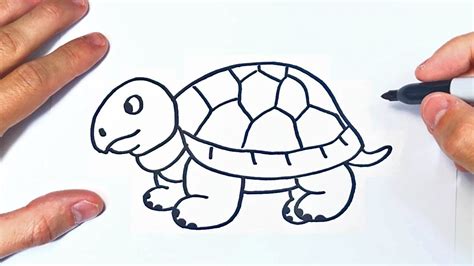 C Mo Dibujar Una Tortuga De Tierra Paso A Paso Y F Cil Youtube