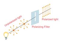 Polarization Of Light Definition Types Examples Applications
