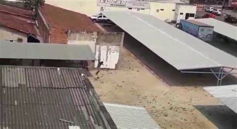 VÍDEO Homem pula de telhado tenta dar olé na PM mas é preso no