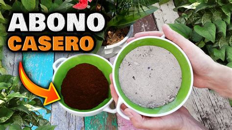 Details 48 abono natural para árboles frutales Abzlocal mx