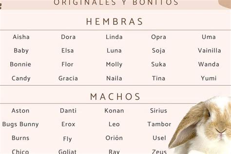 Apodos Geniales Y Divertidos Para Marc Descubre El Apodo Perfecto
