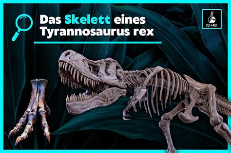 T Rex Steckbrief 10 Fakten über Tyrannosaurus Dinosaurier