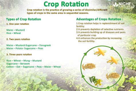 Crop Rotation ImportantComponent Of Organic Farming Niche Agriculture