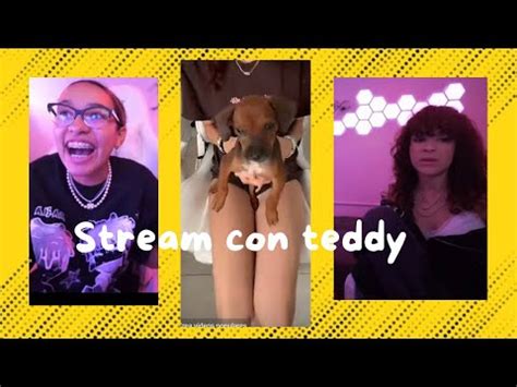Alondra Michelle Y Rai Con Teddy Perro De Nay Youtube