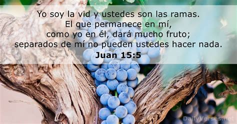 Juan 15 5 Versículo de la Biblia DailyVerses net