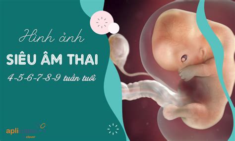 Tìm hiểu hình ảnh thai nhi 33 tuần trong bụng mẹ như thế nào