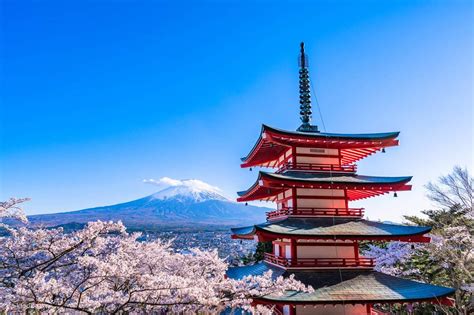 富士山超人气景点观光新仓山浅间公园 河口湖大石公园 忍野八海 日川时计店 罗森便利店 东京出发 Klook客路