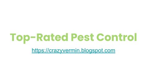 Top Rated Pest Control Google Slides