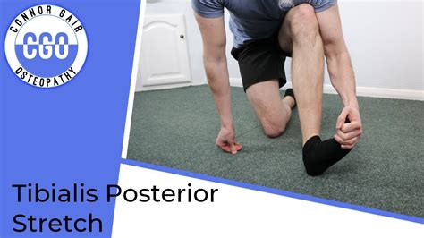 Tibialis Posterior Stretch Kneeling YouTube