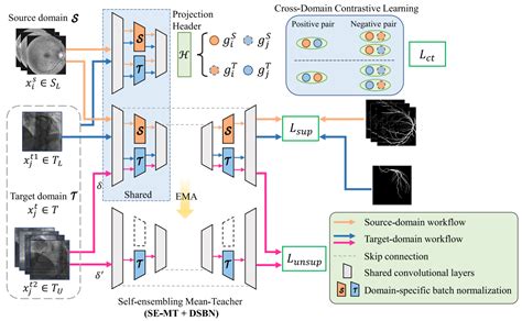 【tmi2023】contrastive semi supervised learning for domain adaptive segmentation across similar