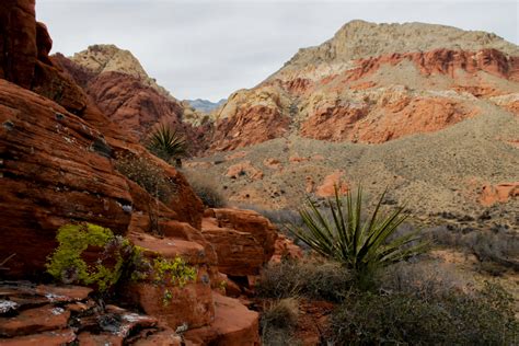 Fotos gratis paisaje árbol naturaleza rock desierto montaña