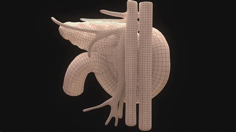 3D Modeled Pancreas Human Model TurboSquid 1468534
