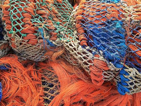 Connaissez Vous Bien Les Techniques De P Che En Mer Mademoiselle Blog