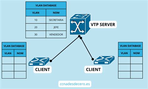 Qu Es Vtp Vlan Trunking Protocol Comprende Su Funci N