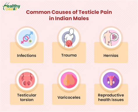 Empowering Understanding Testicular Pain In Indian Males