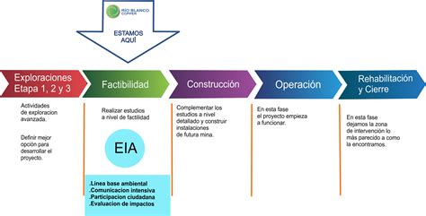 Fases Y Temporalizacion Del Proyecto Riset Riset