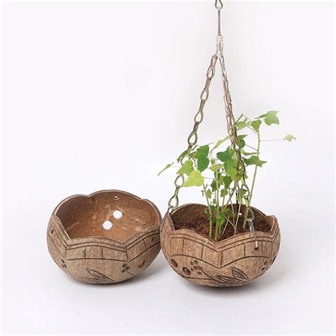 Succulent Planter Pot Eco Friendly Handmade Coconut Shell Cheap Garden